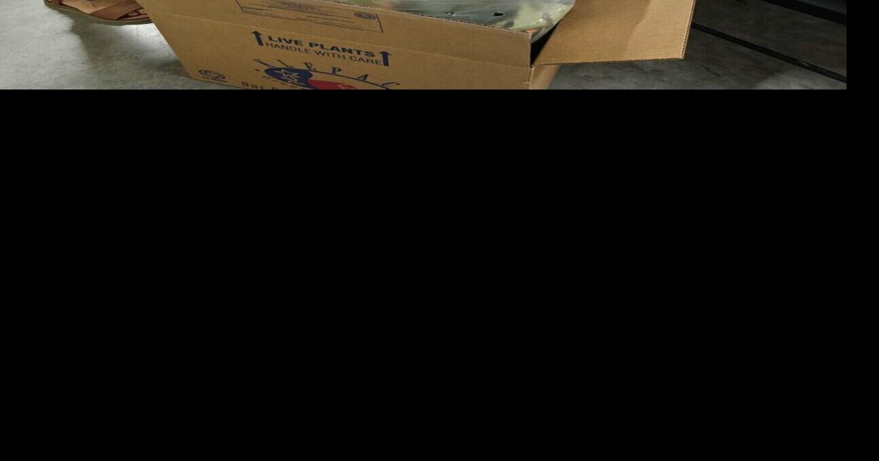 Otto Kaiser sponsors April Senior Activity Day | Texas | kdhnews.com