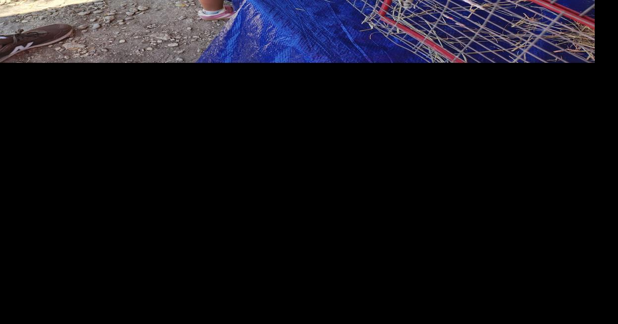 Copperas Cove Rabbit Fest, featuring a Grammy winner, goes through ...