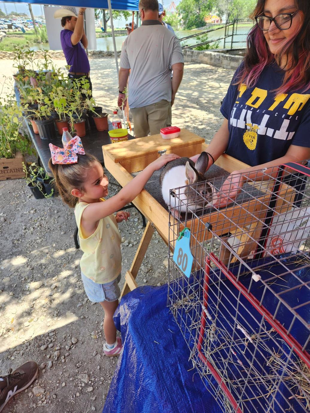 Copperas Cove Rabbit Fest, featuring a Grammy winner, goes through ...
