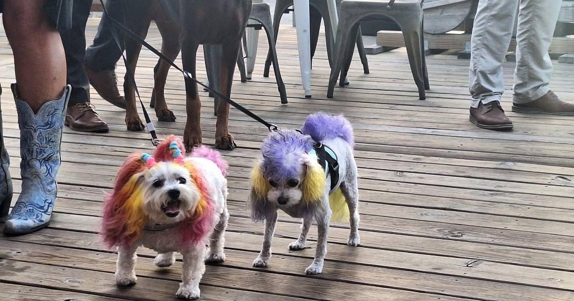 Belton PD hosts first Pups on Patrol event | Region | kdhnews.com