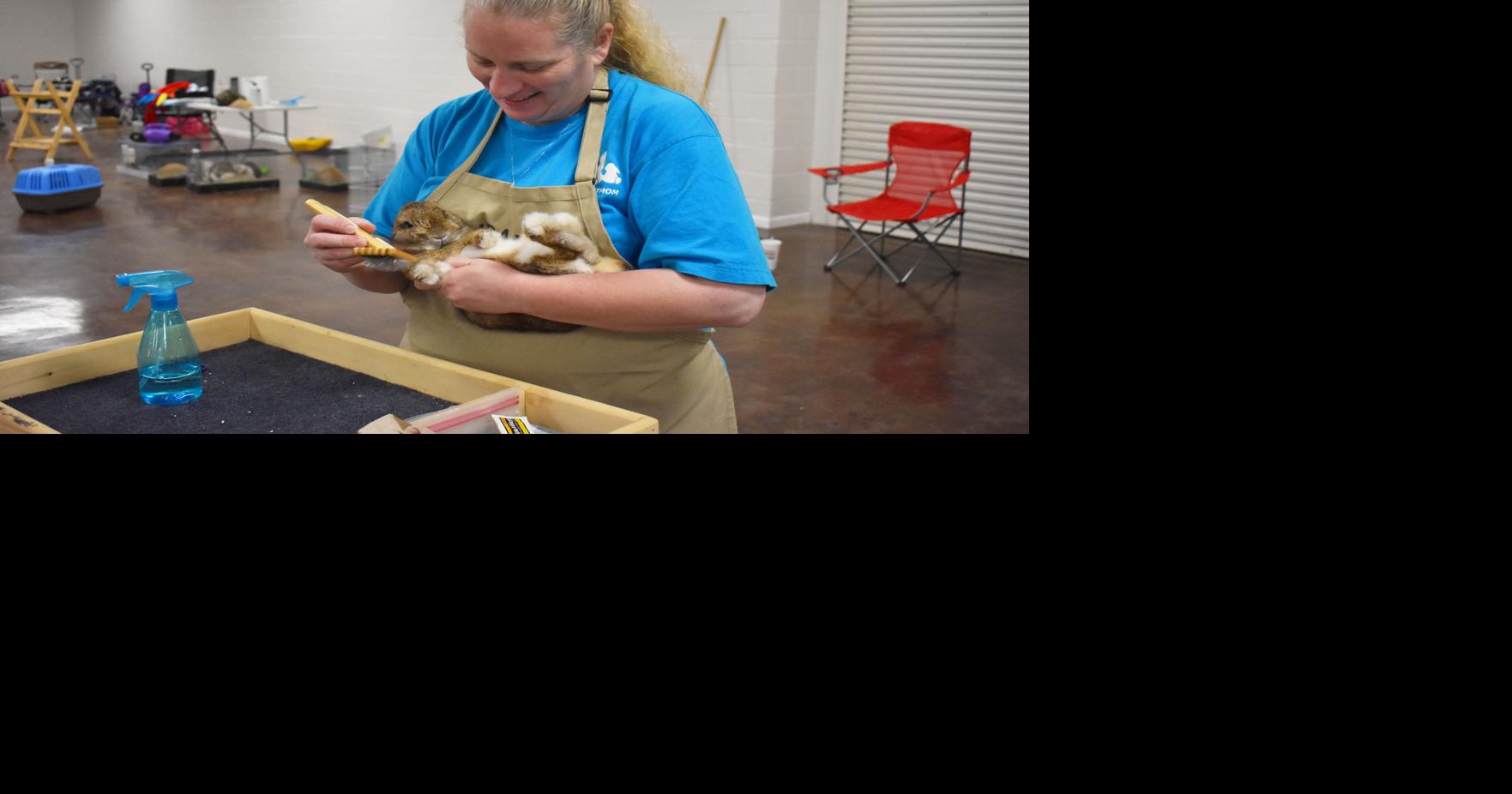 Rabbit Fest still going today | Local News | kdhnews.com