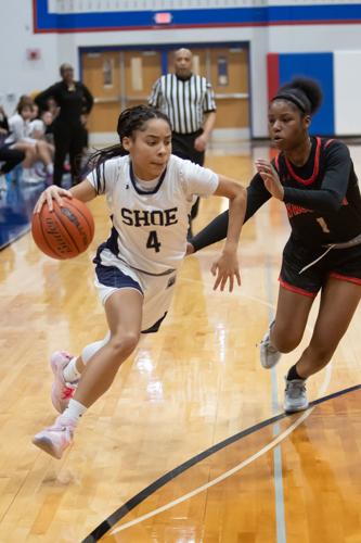 Lady Wolves avoid elimination again, clinch 4th-place playoff spot ...