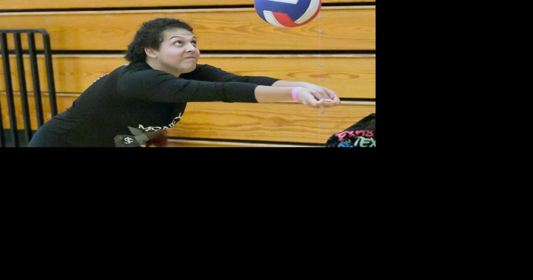 VOLLEYBALL: Young Lady Grey Wolves excited to begin 2015 season ...