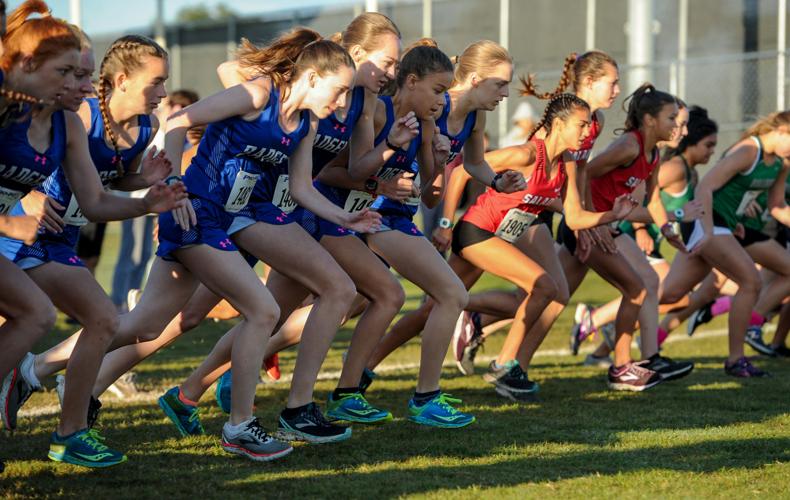 McGregor wins 27-4A cross country title; Salado, Lady Badgers advance to regionals | Lampasas ...