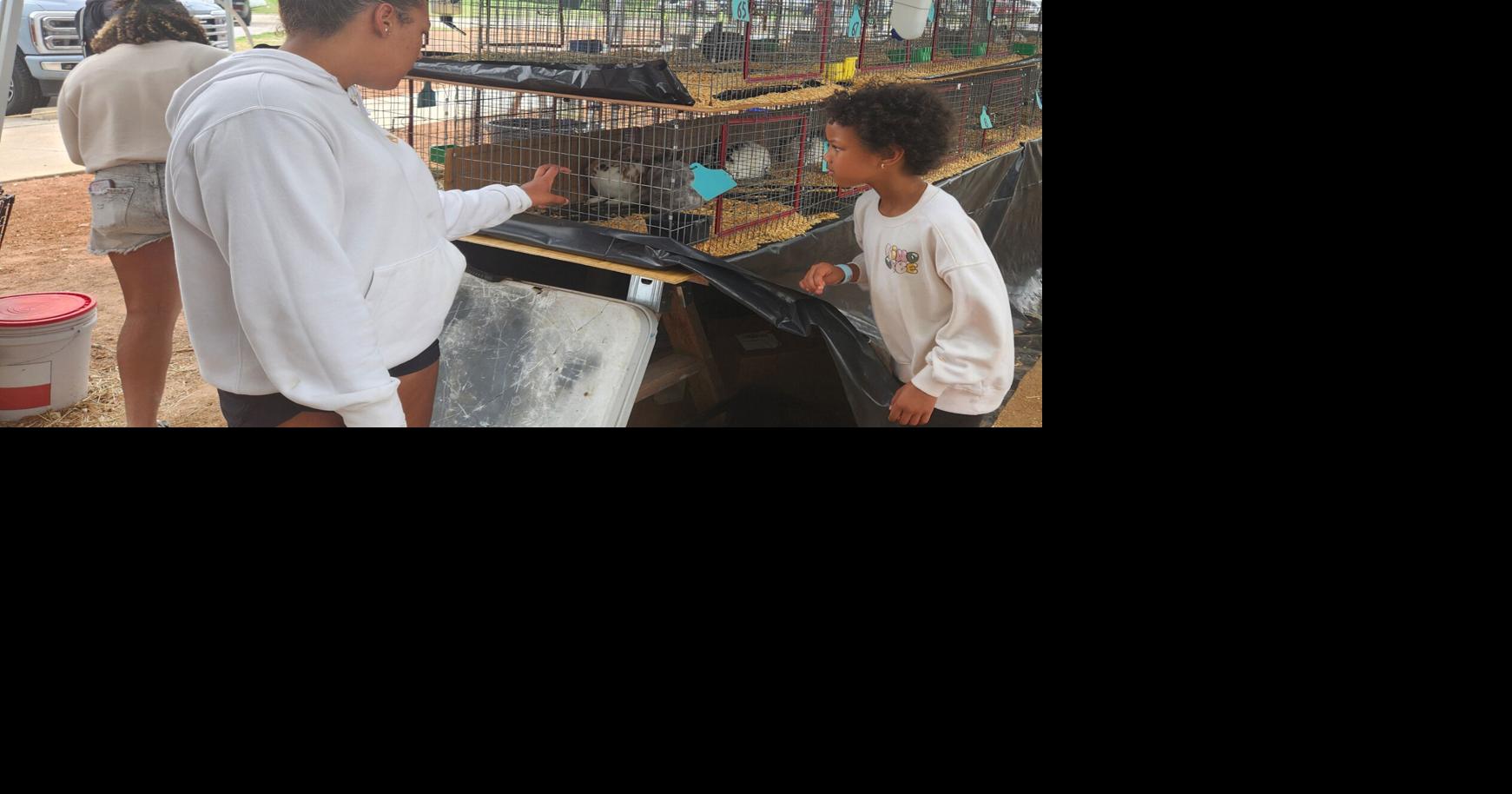 That’s a wrap: Rabbit Fest in Cove ends with successful weekend | Local ...