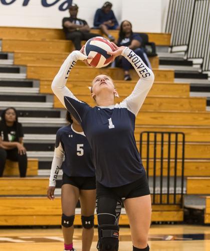 VOLLEYBALL: Ellison's Hibbler named 22-5A Offensive Player of Year ...