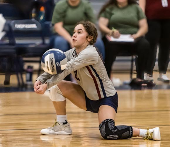 VOLLEYBALL: Ellison's Hibbler named 22-5A Offensive Player of Year ...