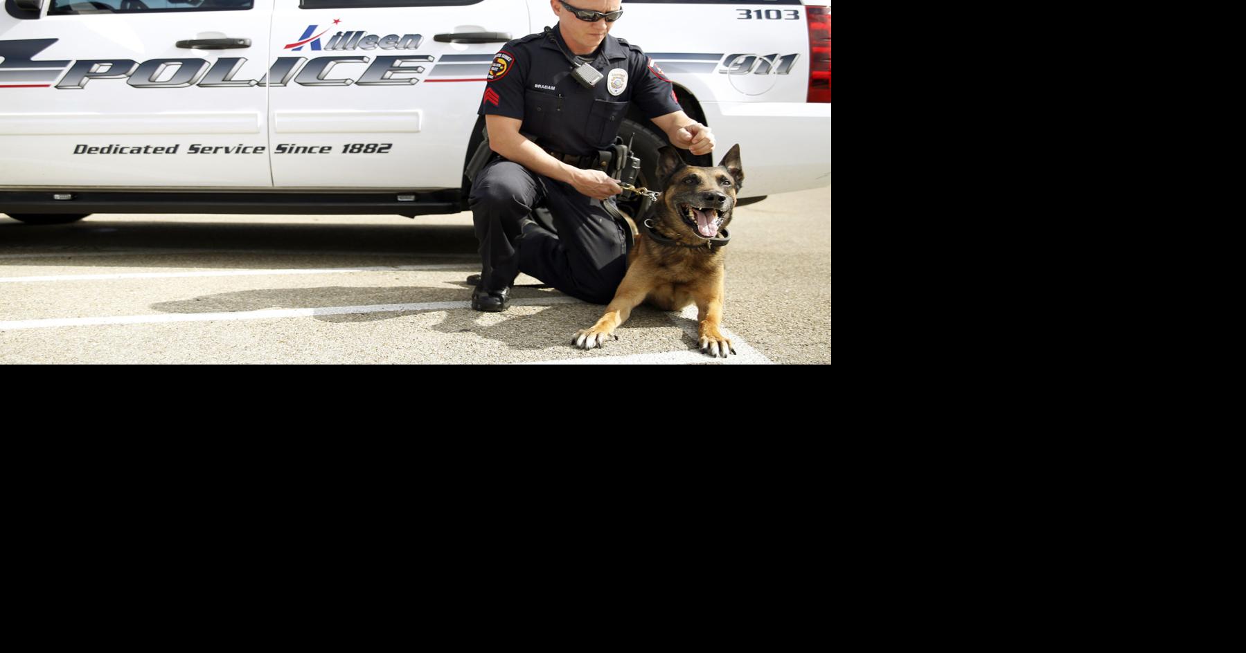 Dual-purpose dogs | Crime | kdhnews.com