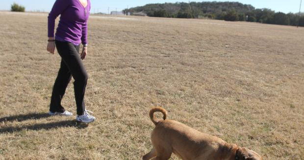 Cove woman is proactive in her drive to defeat cervical cancer ...