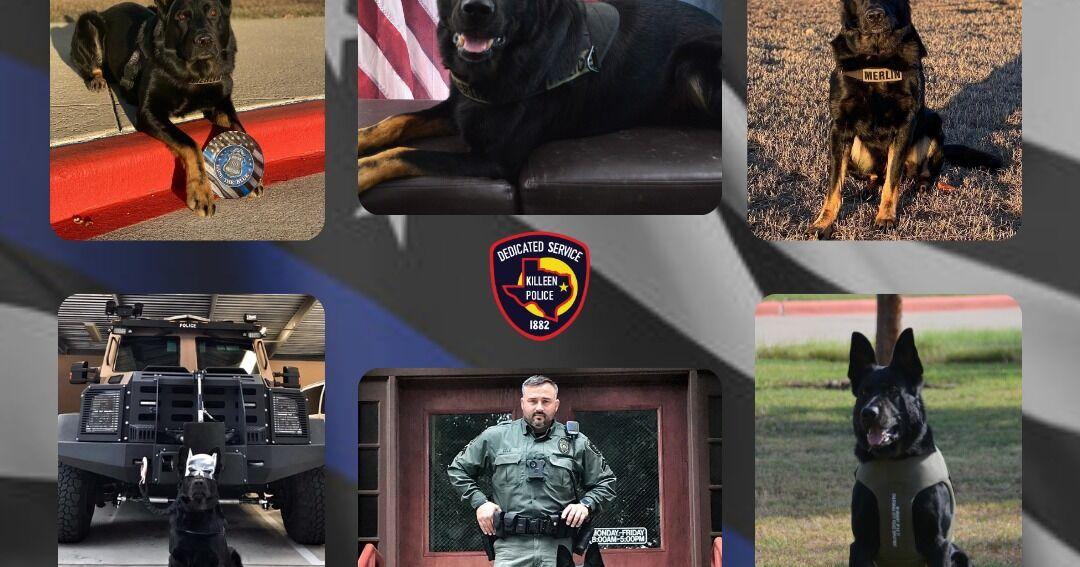 'He was perfect for the job': Local K-9 handler shares thoughts on K-9 ...