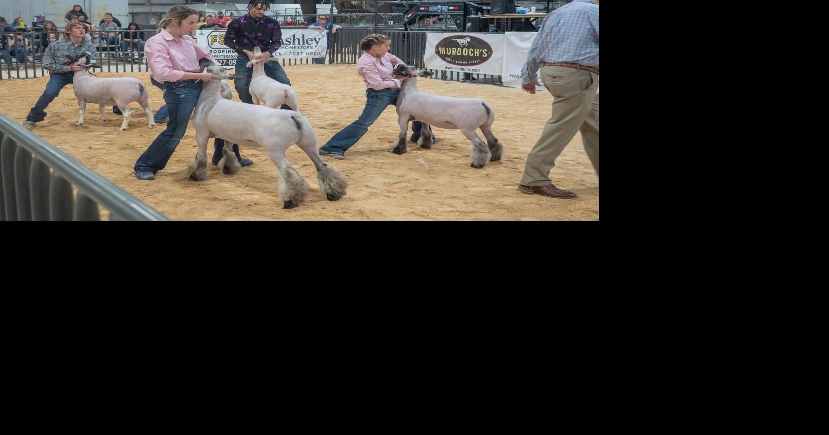 SHOWTIME: 71st Killeen Junior Livestock Show begins Tuesday | Local ...