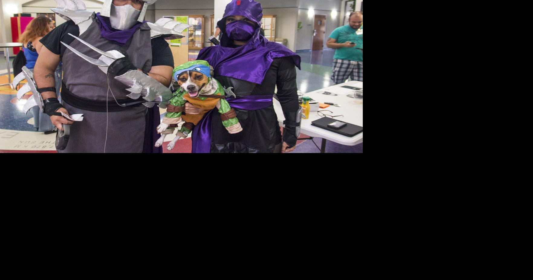 Ninja Turtles, Weeping Angels, zombies and Batmen mingle at GeekFest ...