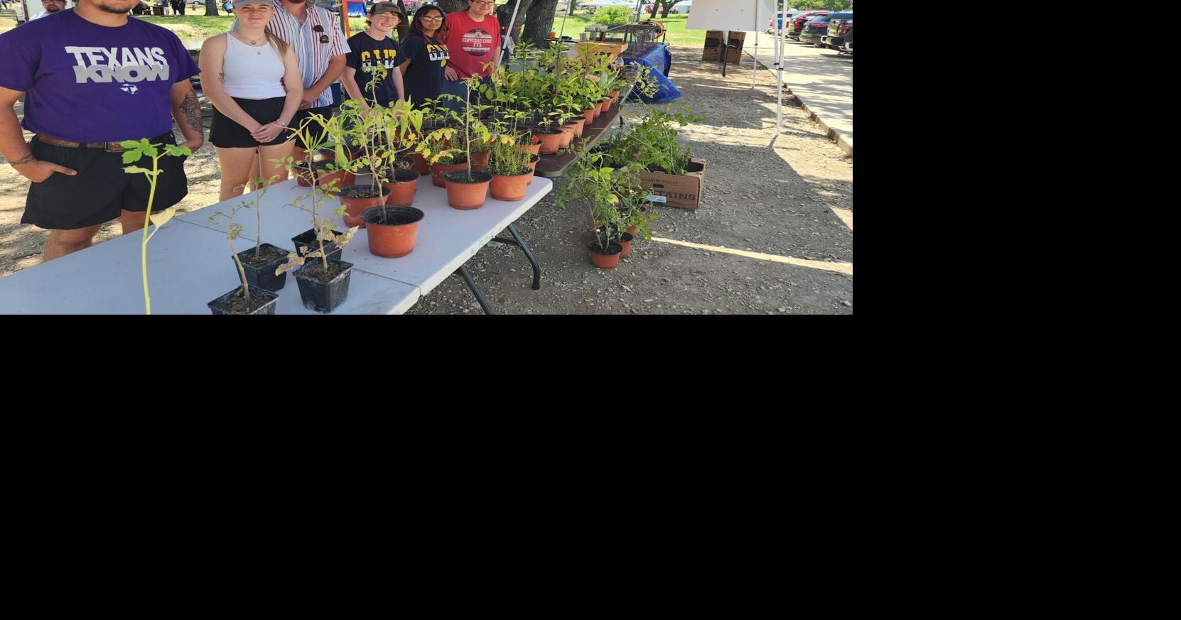 Copperas Cove FFA display rabbits at annual festival | Local News ...