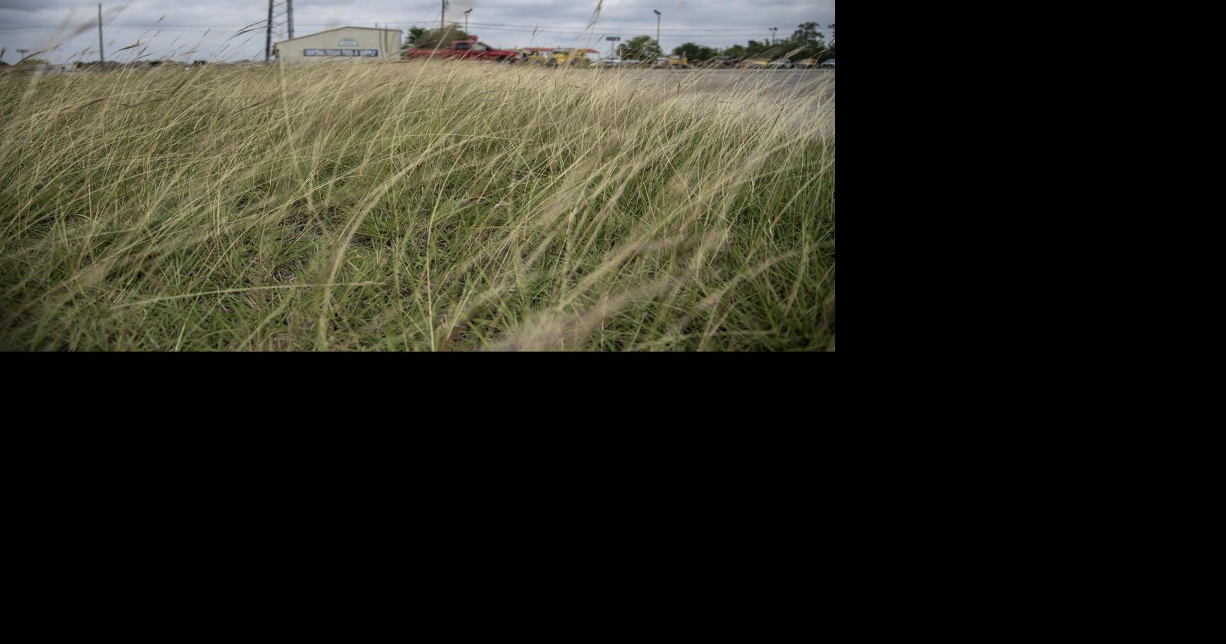 Killeen code enforcement continues Clean '17 initiative | Local News ...