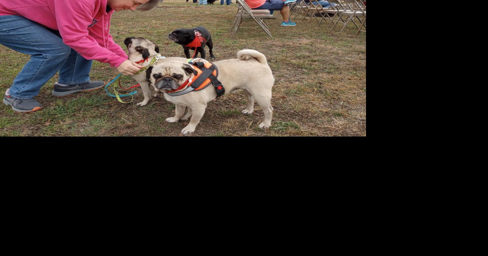 Copperas Cove Pup Run or Walk 5K this weekend | Local News | kdhnews.com