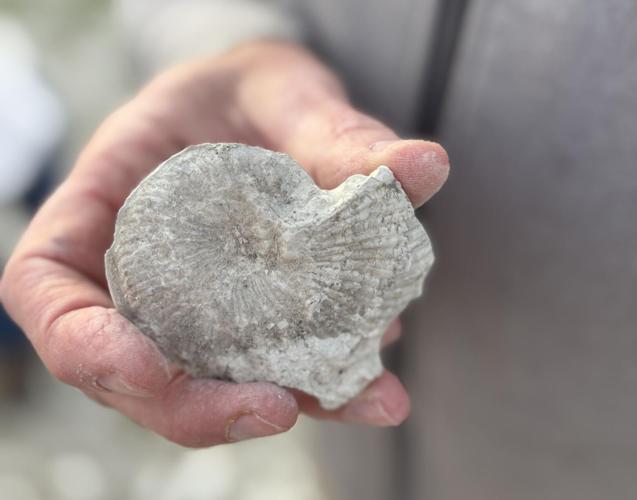 Student group from Wisconsin visits Killeen; unearths fossils and more ...