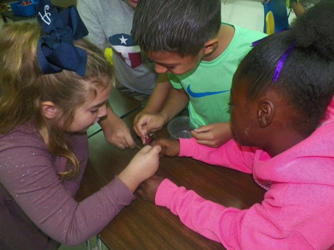 Hettie Halstead students save lives through scientific method ...