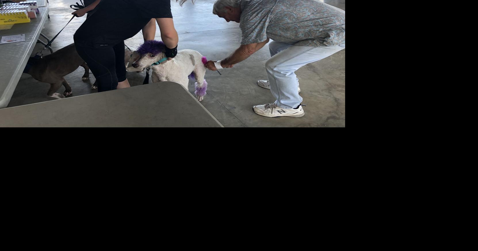 Hundreds of pets get vaccinated at Ogletree Gap | Copperas Cove Herald ...