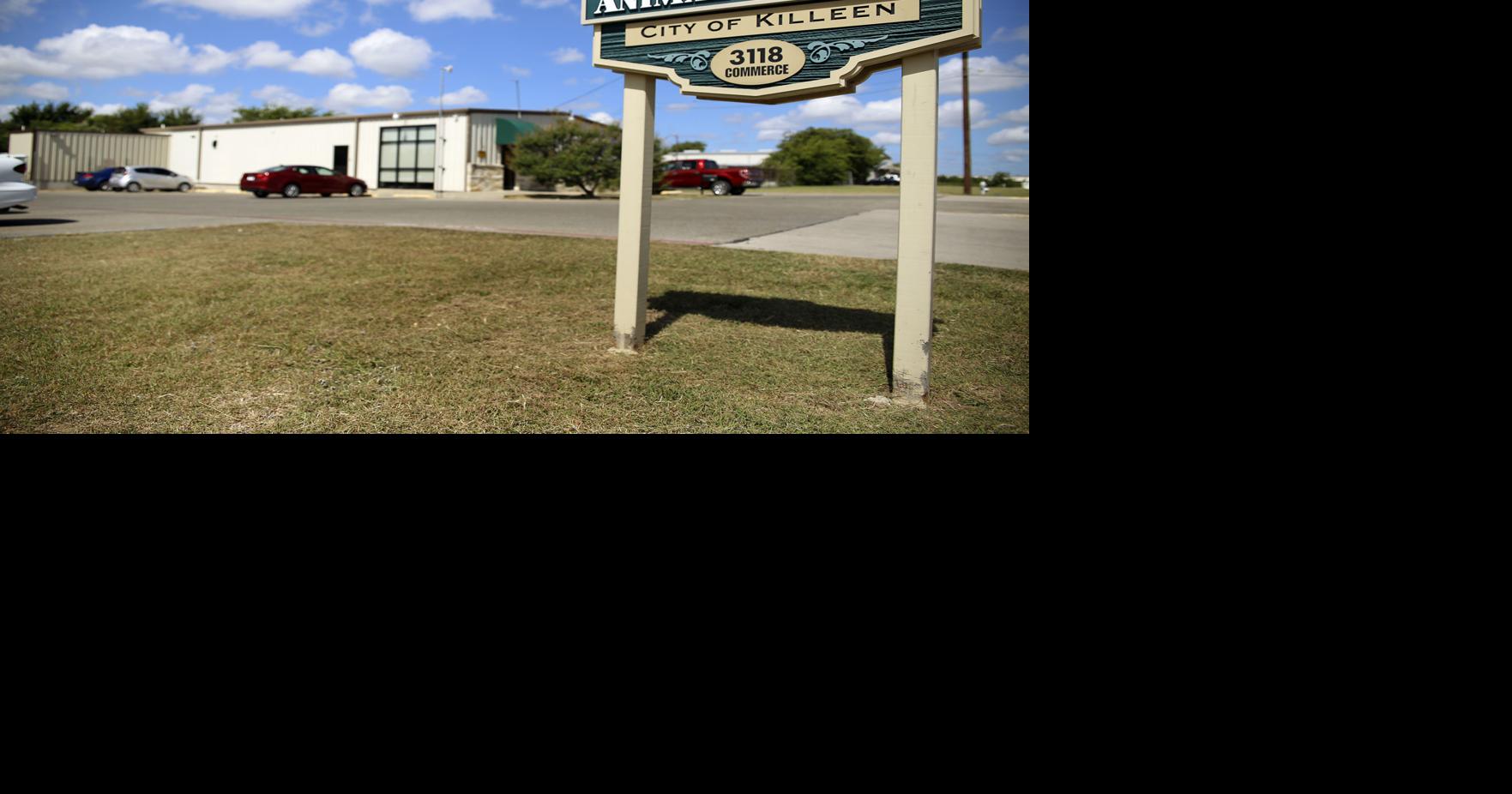 Council members to mull shrinking size of Animal Advisory Committee ...