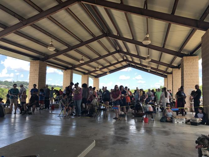 Hundreds of pets get vaccinated at Ogletree Gap | Copperas Cove Herald ...