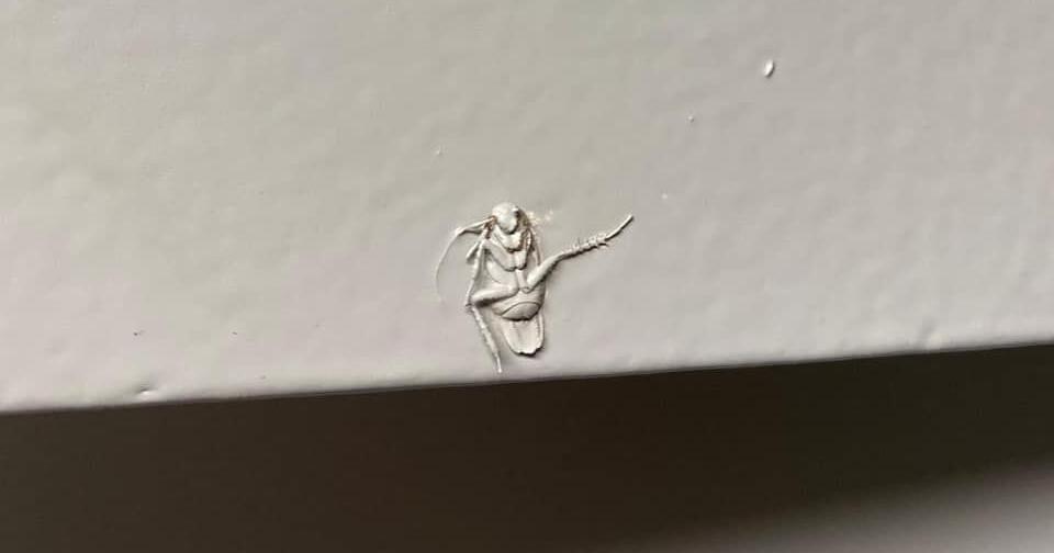 Painted roach post definitely not actually on Fort Hood, officials say ...