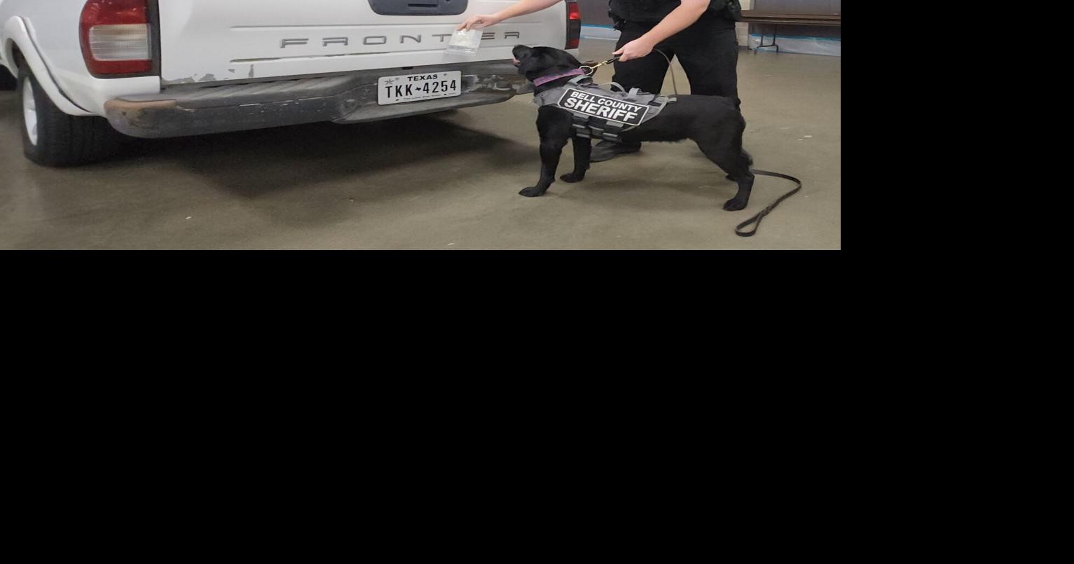 Canine cop: Athena is a new addition to Bell County crime unit | News ...