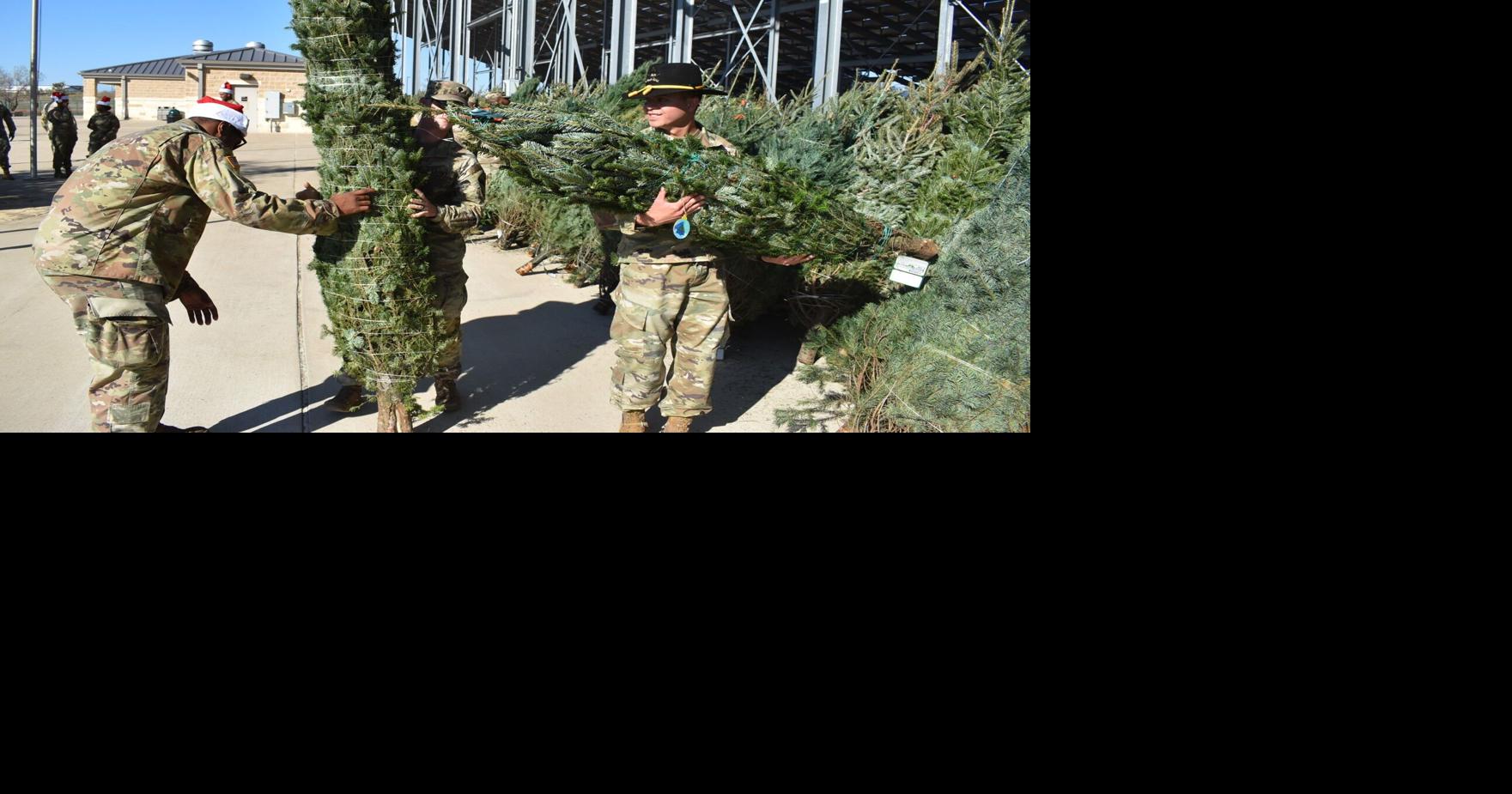 Annual Trees for Troops giveaway on Friday | Military | kdhnews.com
