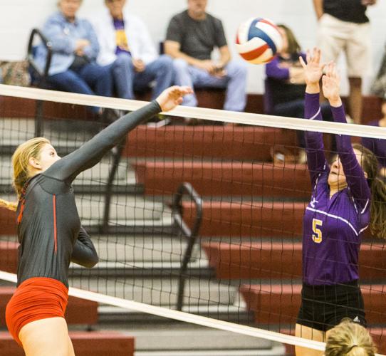 VOLLEYBALL: Salado falls to La Grange in 1st round of 4A playoffs ...