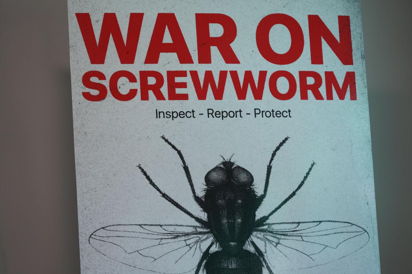 Screwworm Livestock | News | kdhnews.com