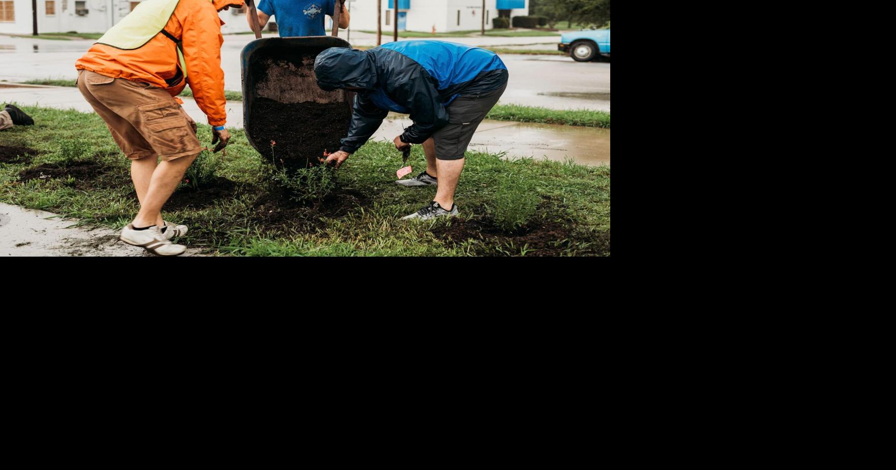 Dozens brave the rain to plant trees | Copperas Cove Herald | kdhnews.com