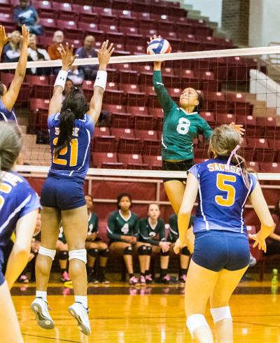 VOLLEYBALL: Despite little experience, Ellison was able to continue ...