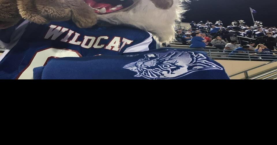 Wildcat makeover: Campaign under way to update THS mascots Willie and ...