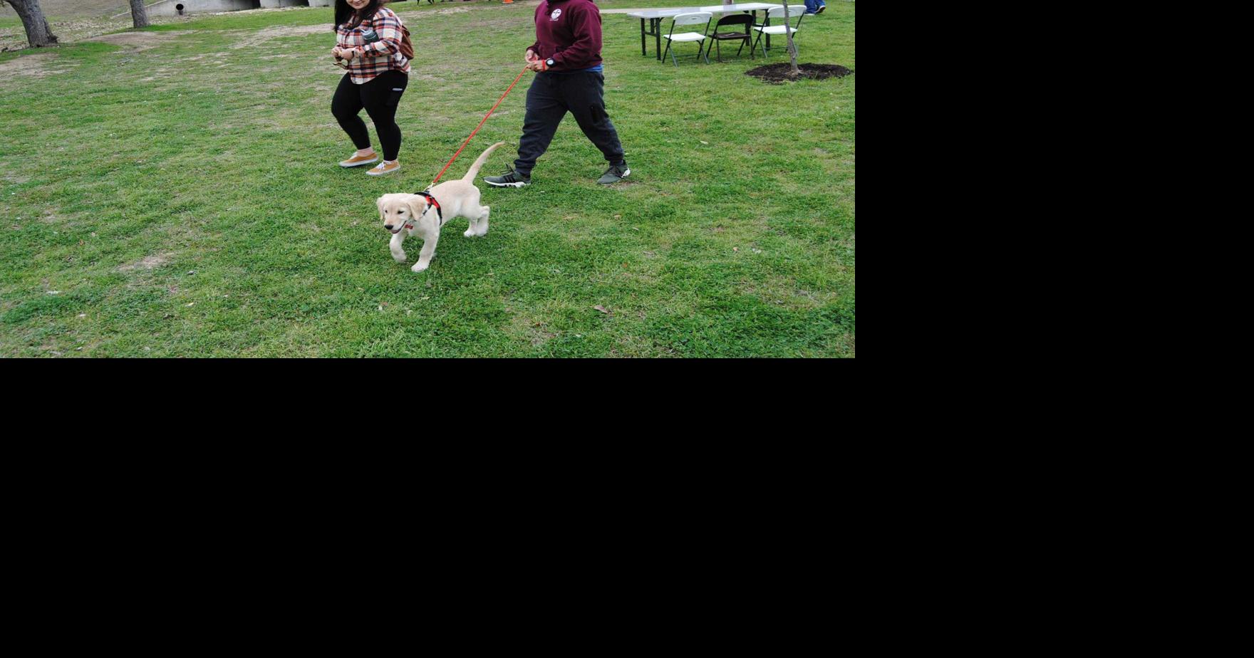 Dogs roamed Purser Family Park Saturday | Local News | kdhnews.com