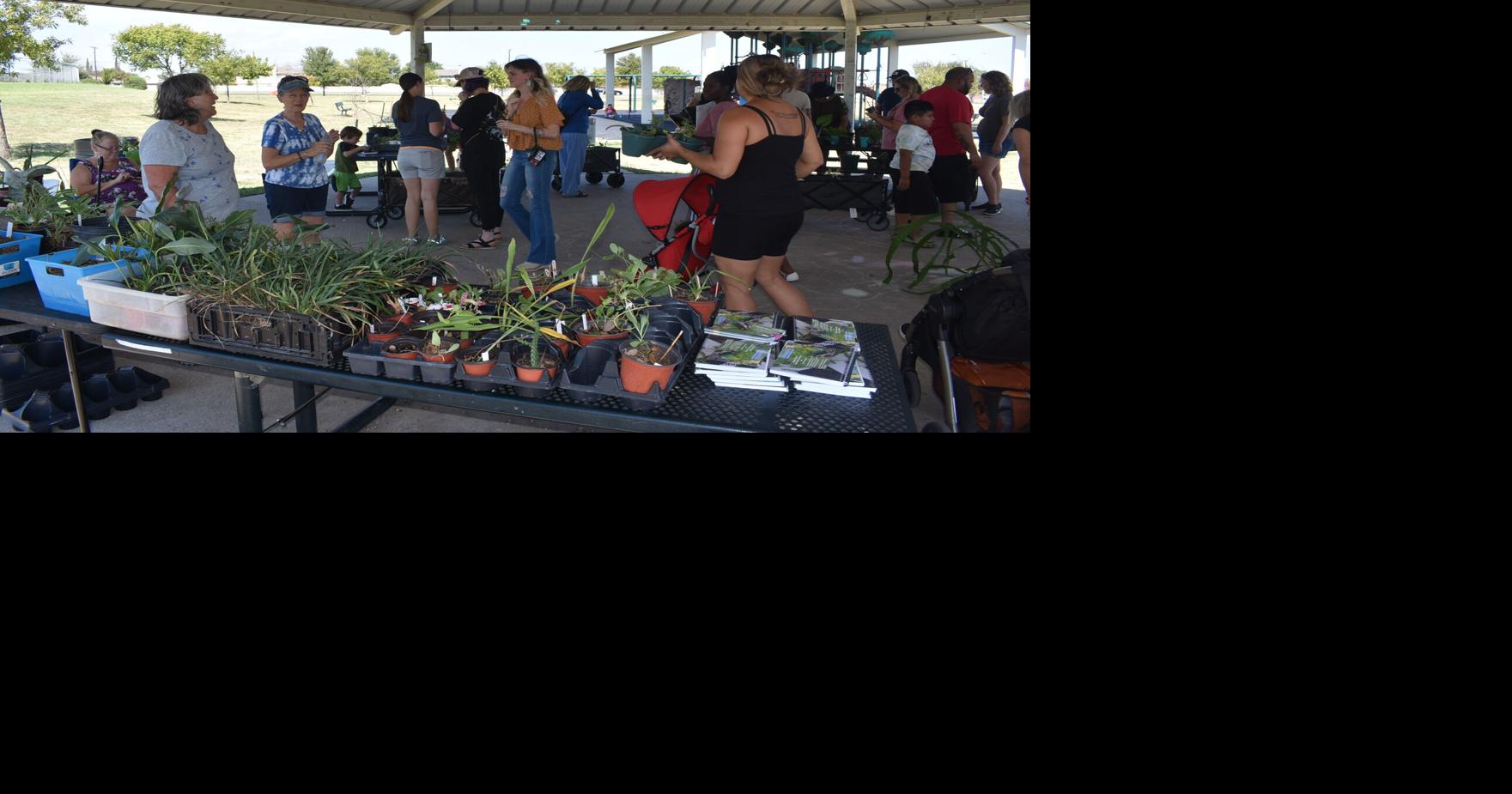 Swapping some ‘green stuff’ at local Plant Swap Sunday | Local News ...