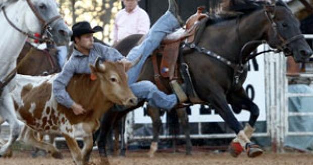 Gatesville Rodeo: Poag surges into second on final day of calf roping ...