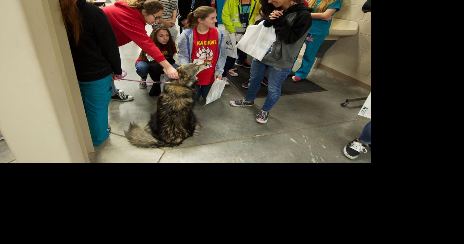 8th-graders tour KISD’s Career Center | Education | kdhnews.com