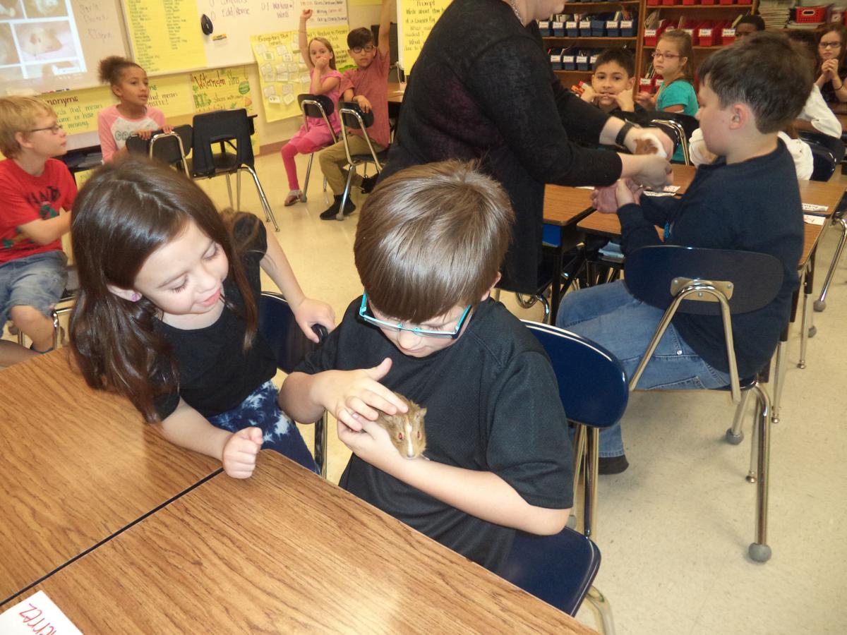 Students enjoying animals in the classroom | Community | kdhnews.com