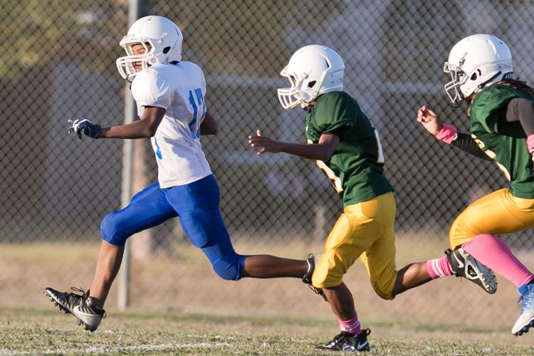 SUBVARSITY ROUNDUP: 7A Leopards record 3rd shutout of season | Future ...