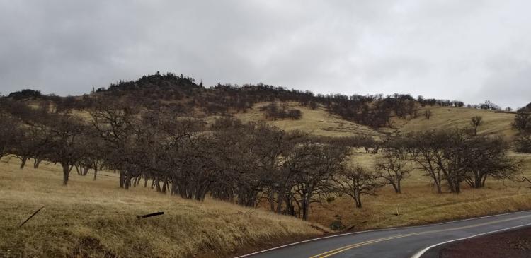 Jackson County landowners lose challenges with BOF | FireWatch | kdrv.com