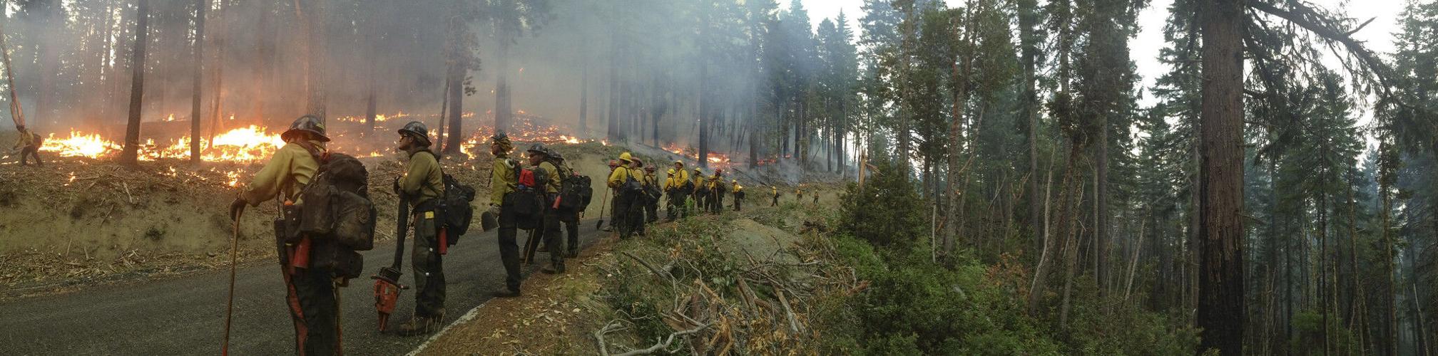 Federal funds for forests include Oregon, California | News | kdrv.com