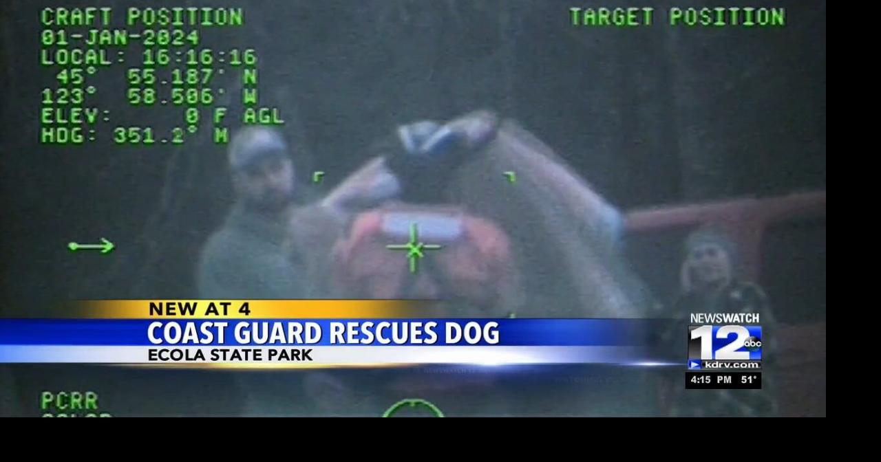 Coast Guard rescues dog at Ecola State Park | Video | kdrv.com