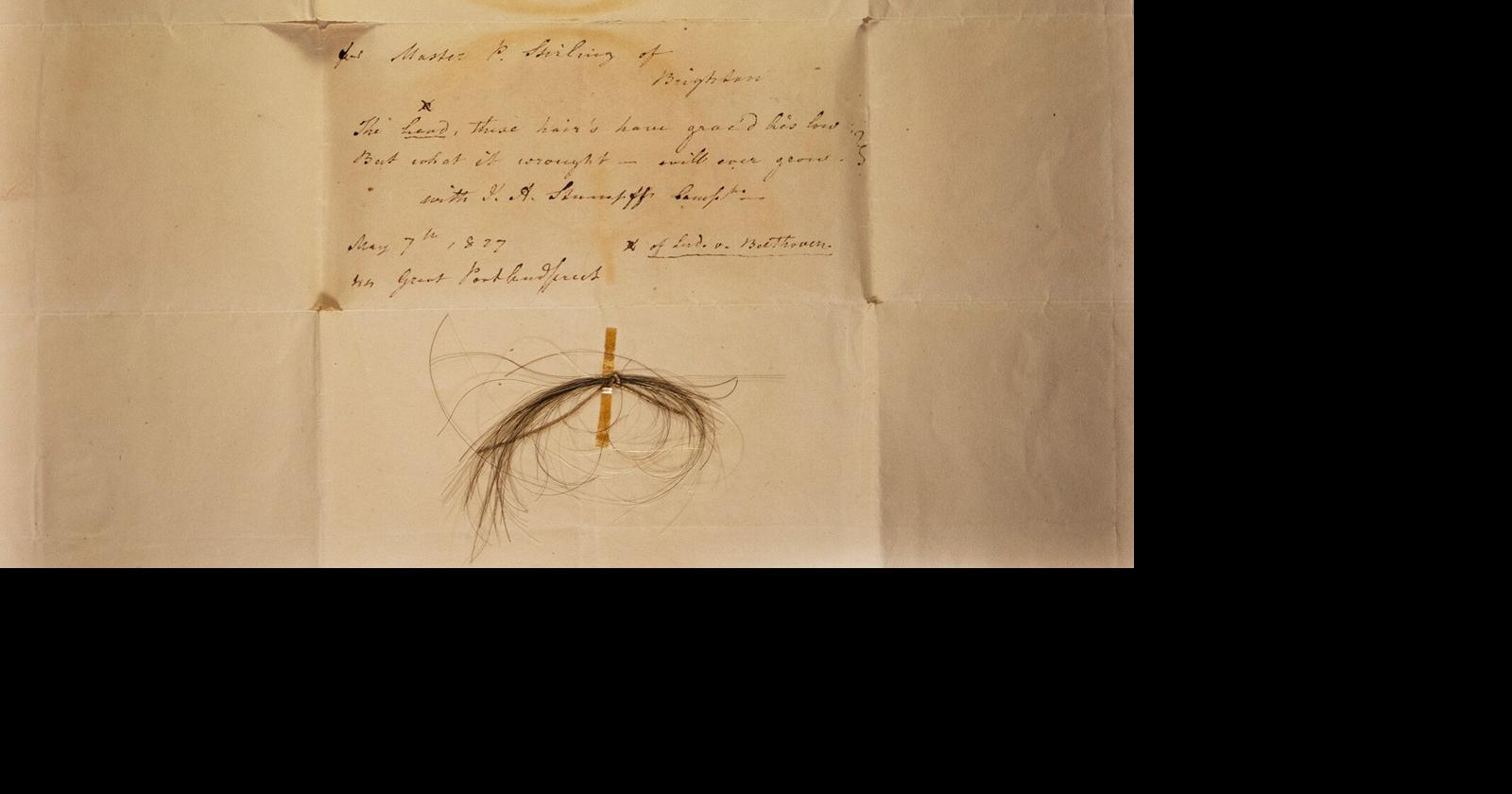 Secrets uncovered as scientists explore Beethoven's DNA | National ...