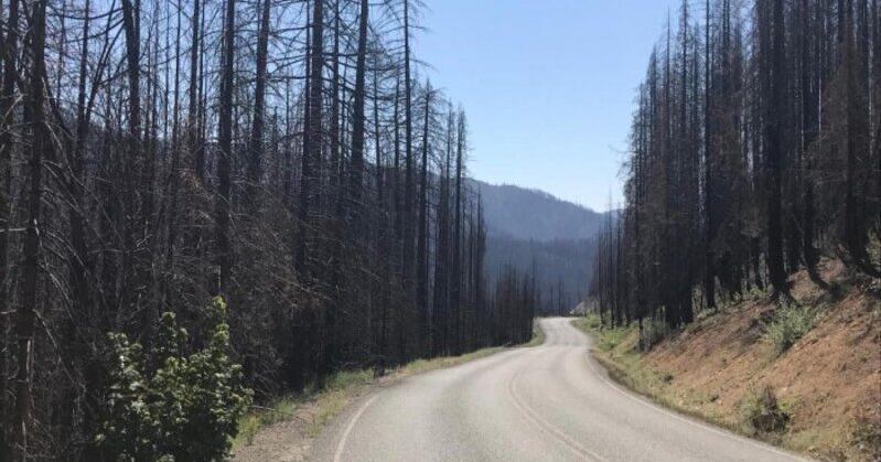 Grayback Road reopens to local traffic almost a year after Slater Fire ...