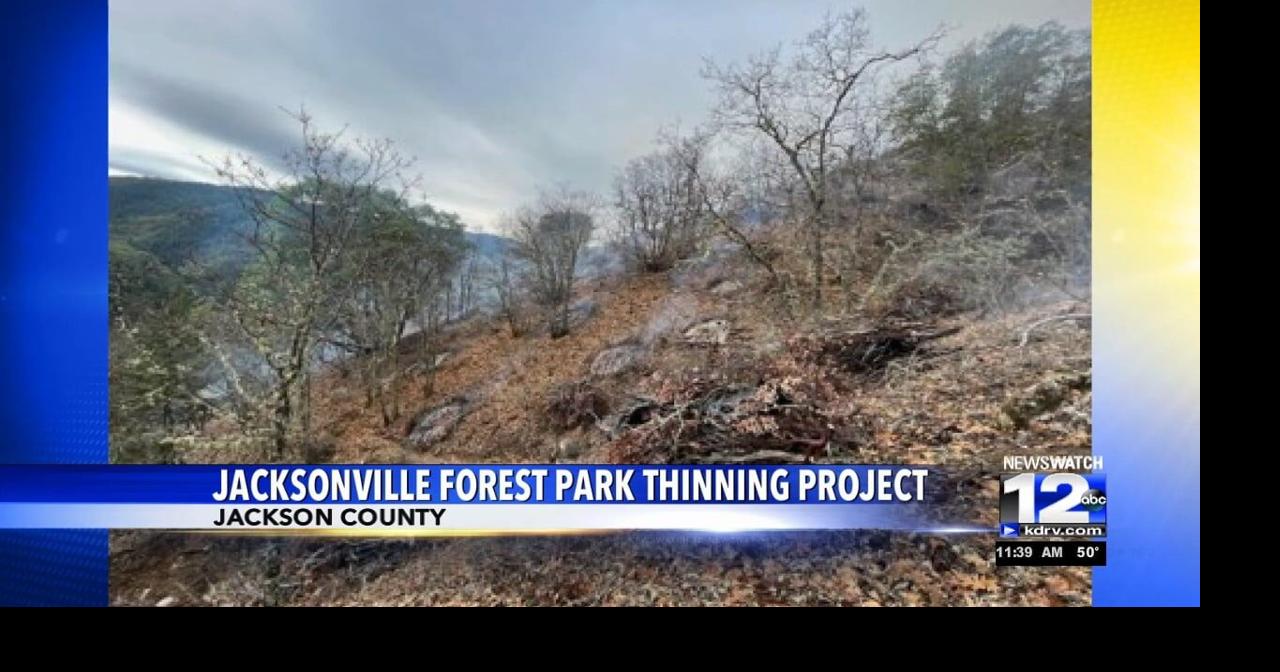 Jacksonville forest park thinning project | Video | kdrv.com