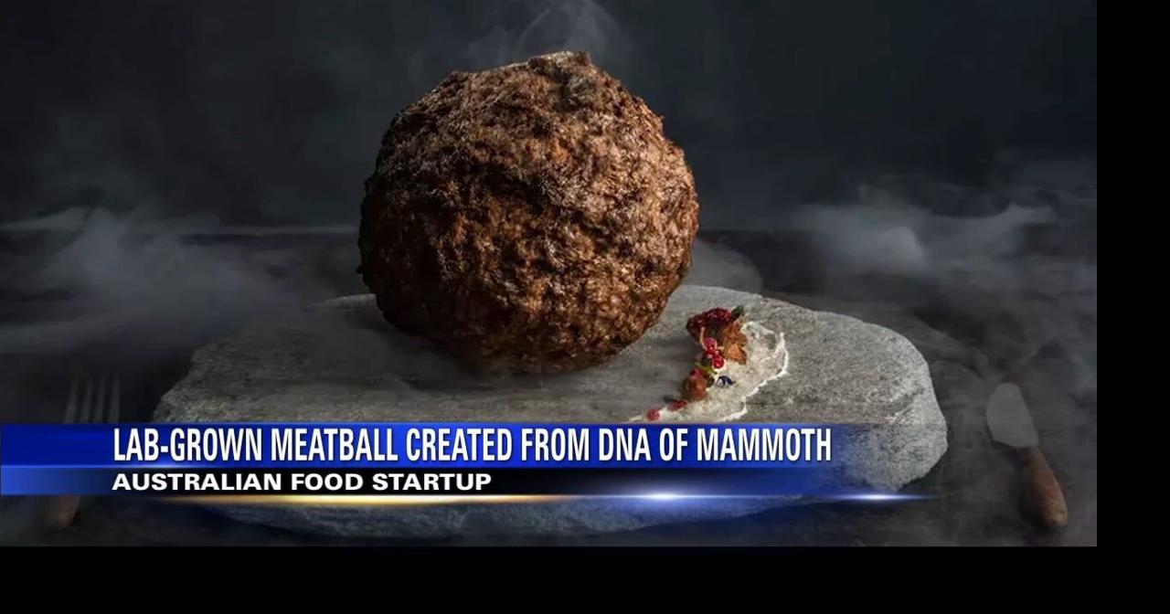 Lab-grown meatball created from mammoth DNA | Video | kdrv.com