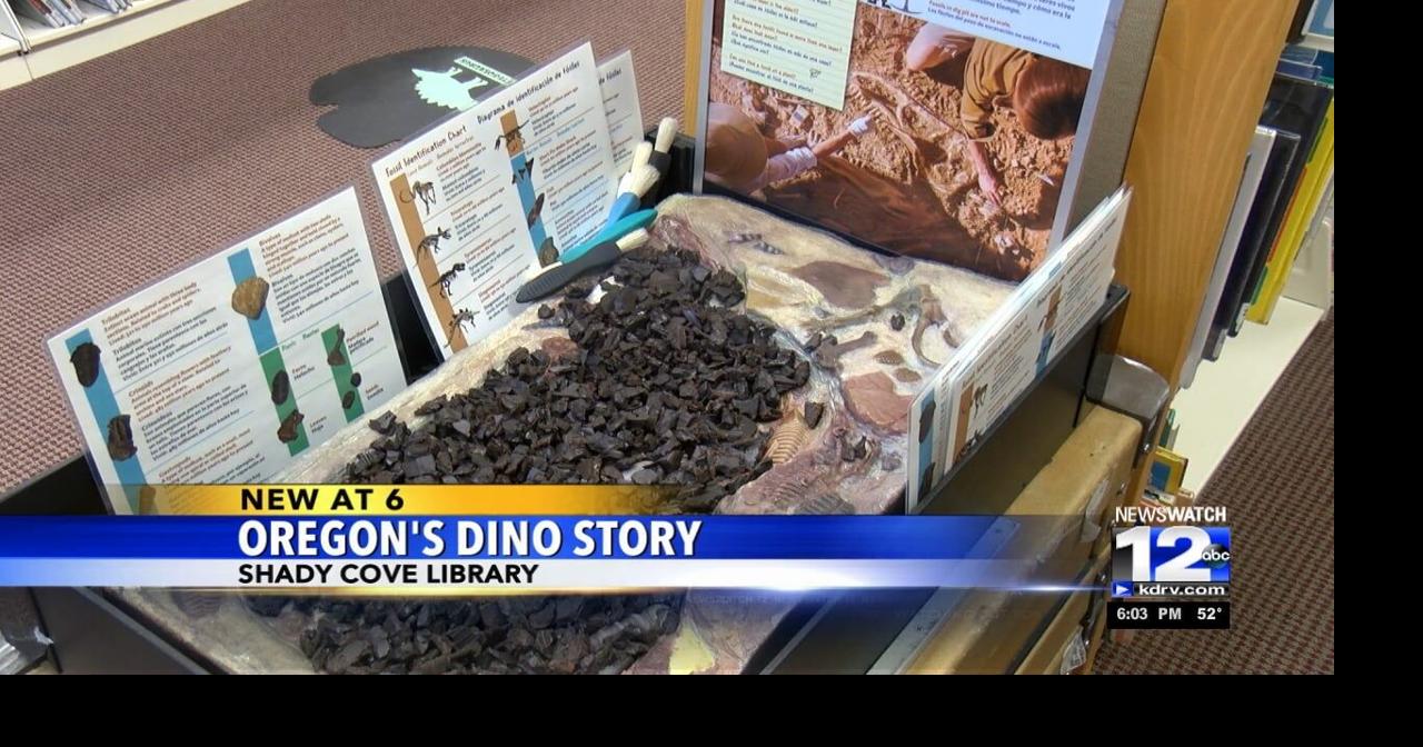 Interactive dinosaur exhibit comes to Shady Cove Library | Top Stories ...