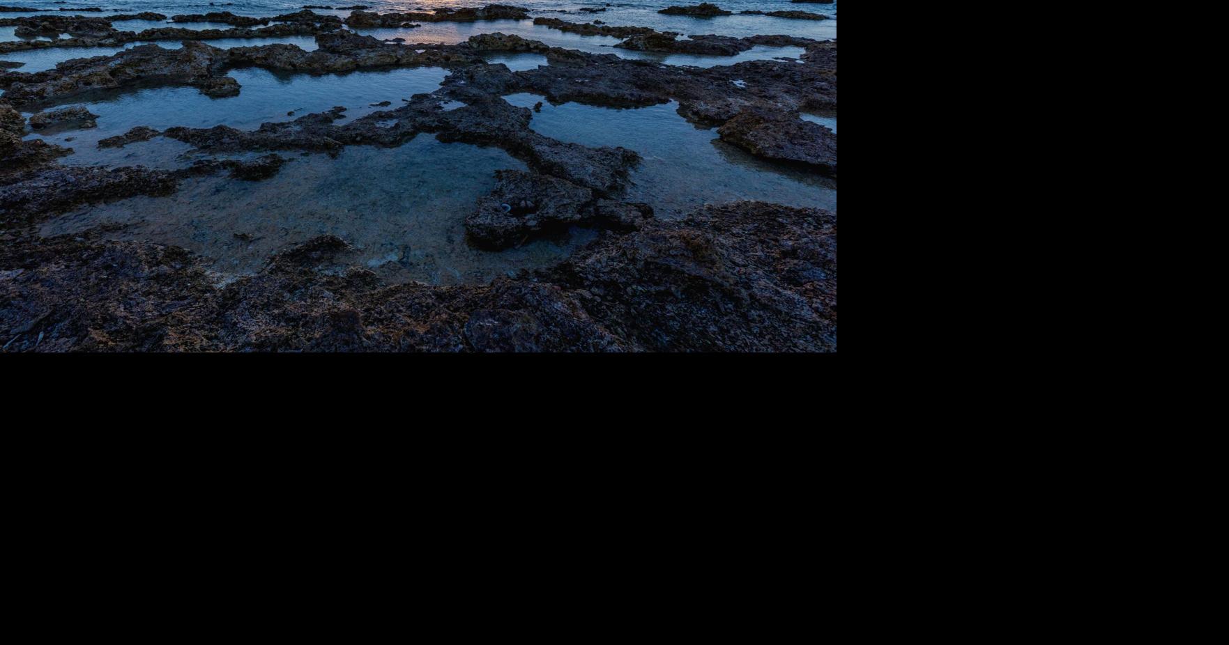 Australia’s Great Barrier Reef hit once more by mass coral bleaching ...