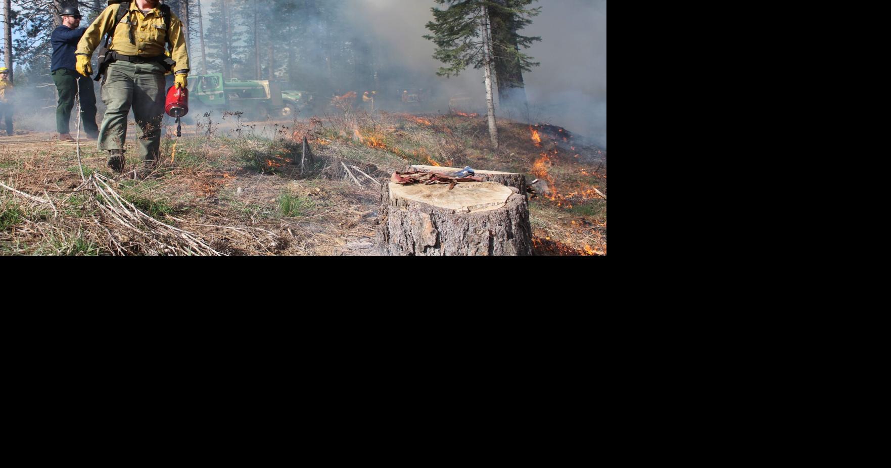 Shasta-Trinity crews use drone tech for 248-acre prescribed fire ...
