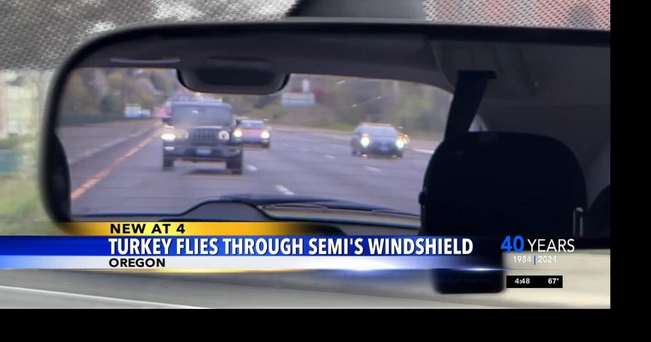 Turkey flies through semi's windshield in Oregon | Video | kdrv.com