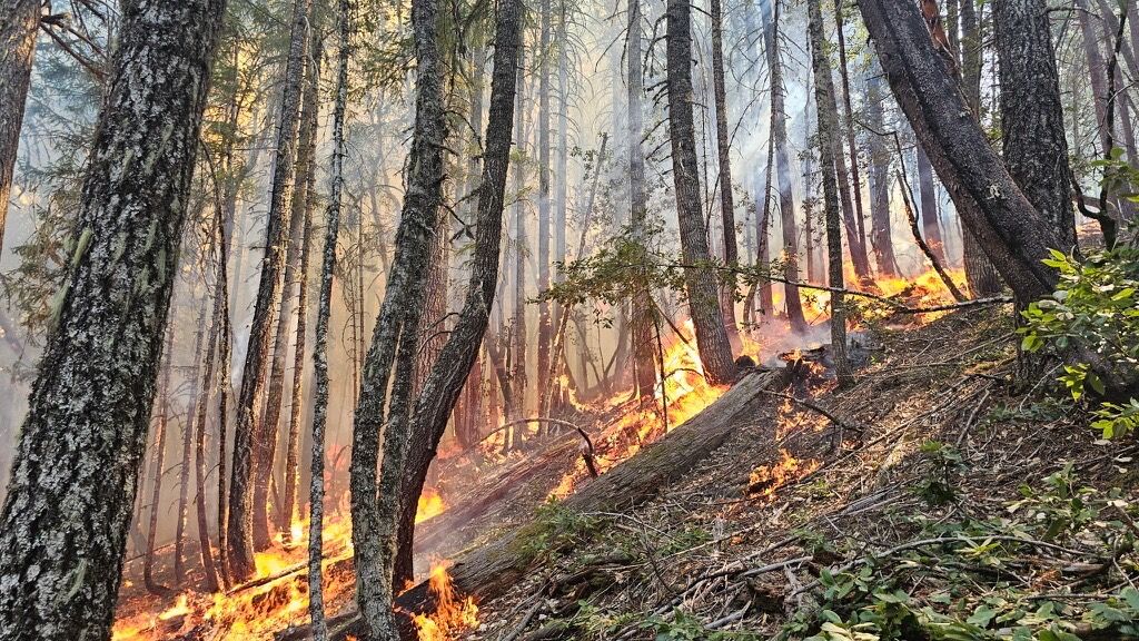 Kelsey Peak Fire - Final Update | News | kdrv.com
